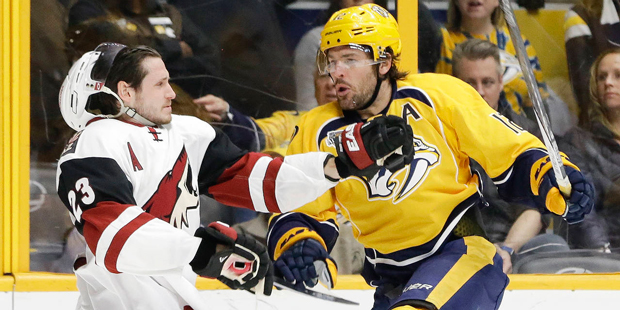 Gallery: Coyotes at Predators