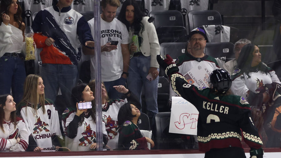 Maricopa County eyes bringing NHL back to Arizona