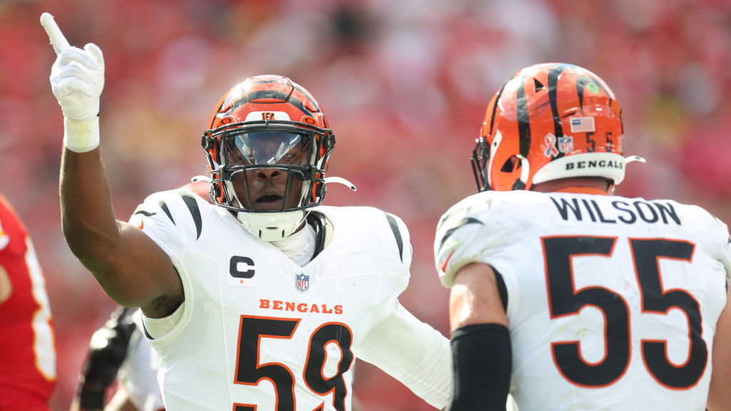 NFL free agency: Akeem Davis-Gaither signing with Cardinals