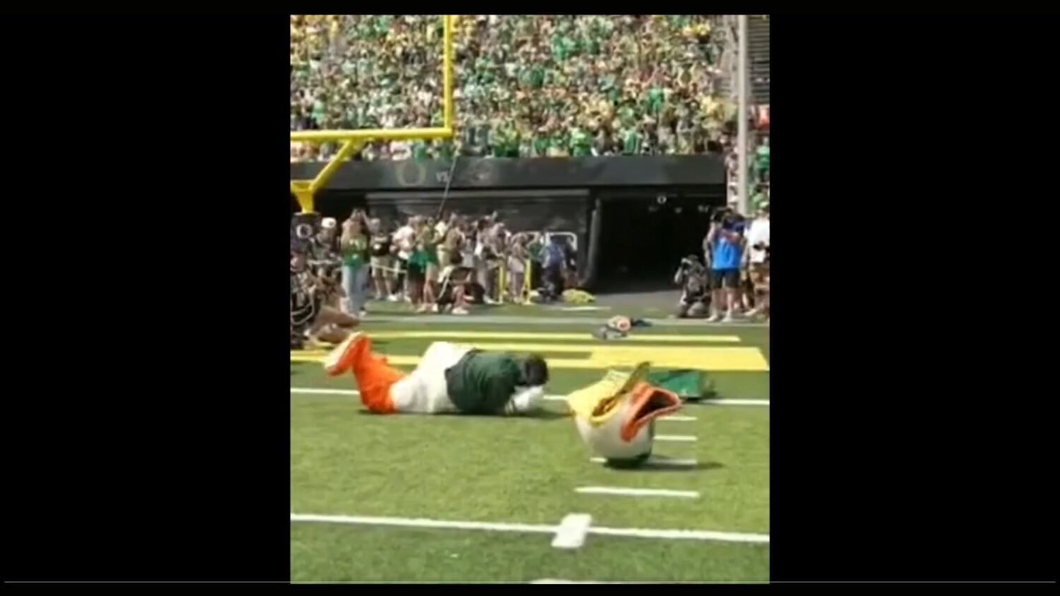 Oregon mascot loses head running on field for 2025 opener